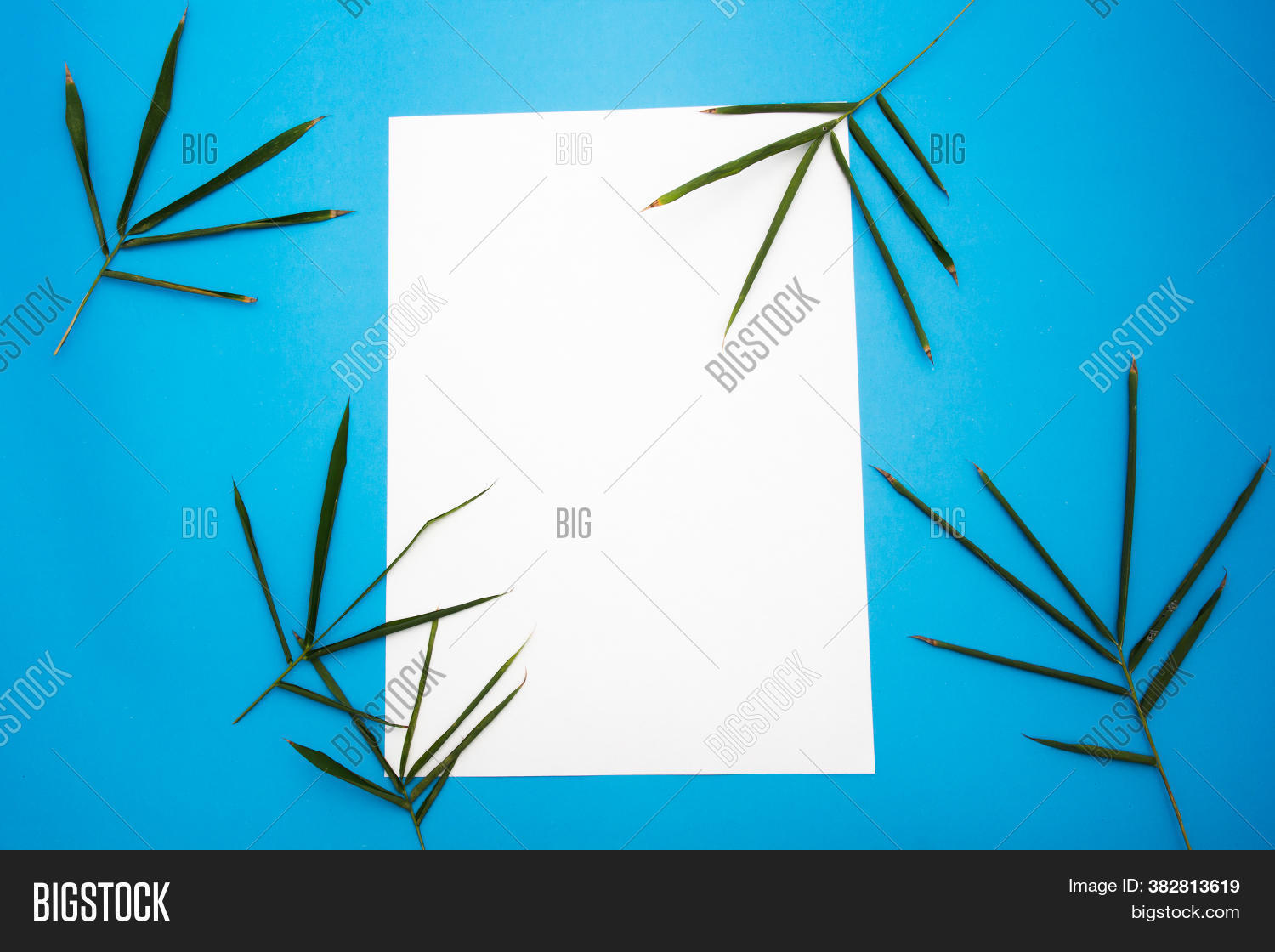 Blank Paper Concept Image & Photo (Free Trial) | Bigstock