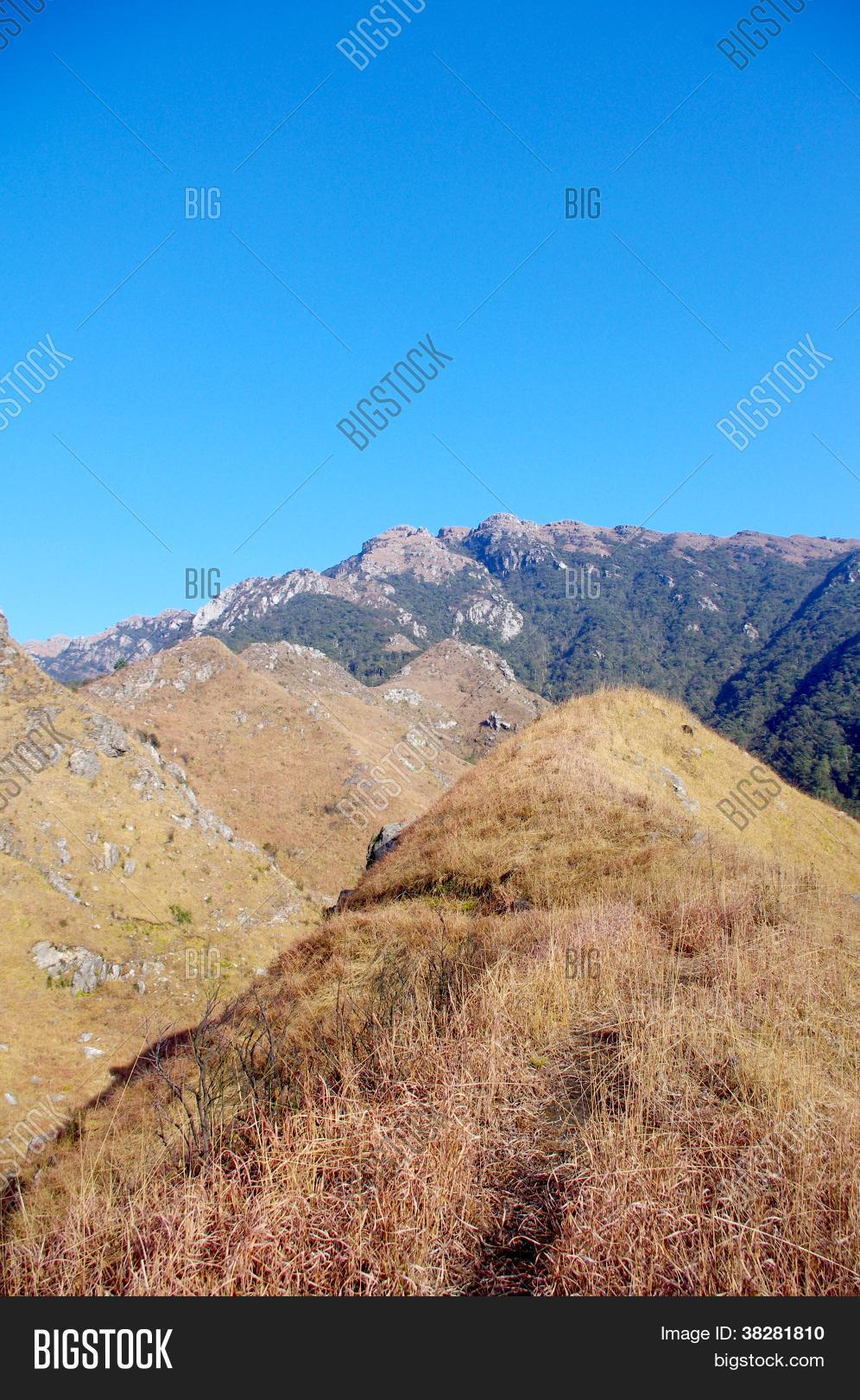 Viewing Top High Image & Photo (Free Trial) | Bigstock