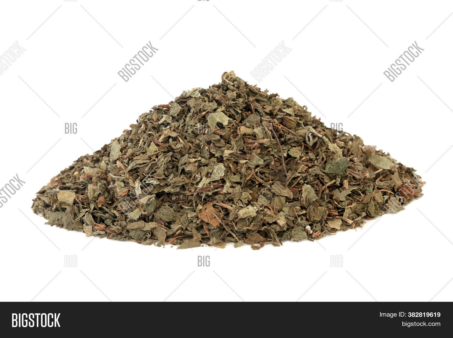 Hydrocotyle Herb Has Image & Photo (Free Trial) | Bigstock