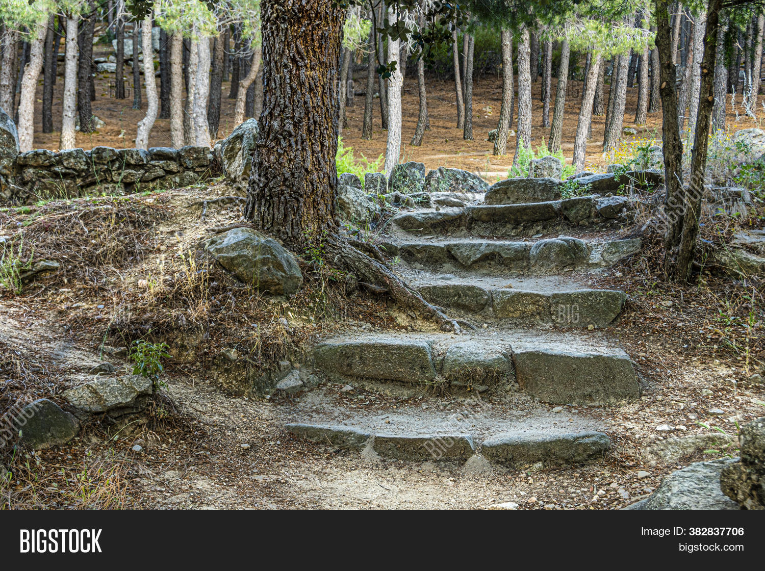 Granite Stone Steps Image & Photo (Free Trial) | Bigstock