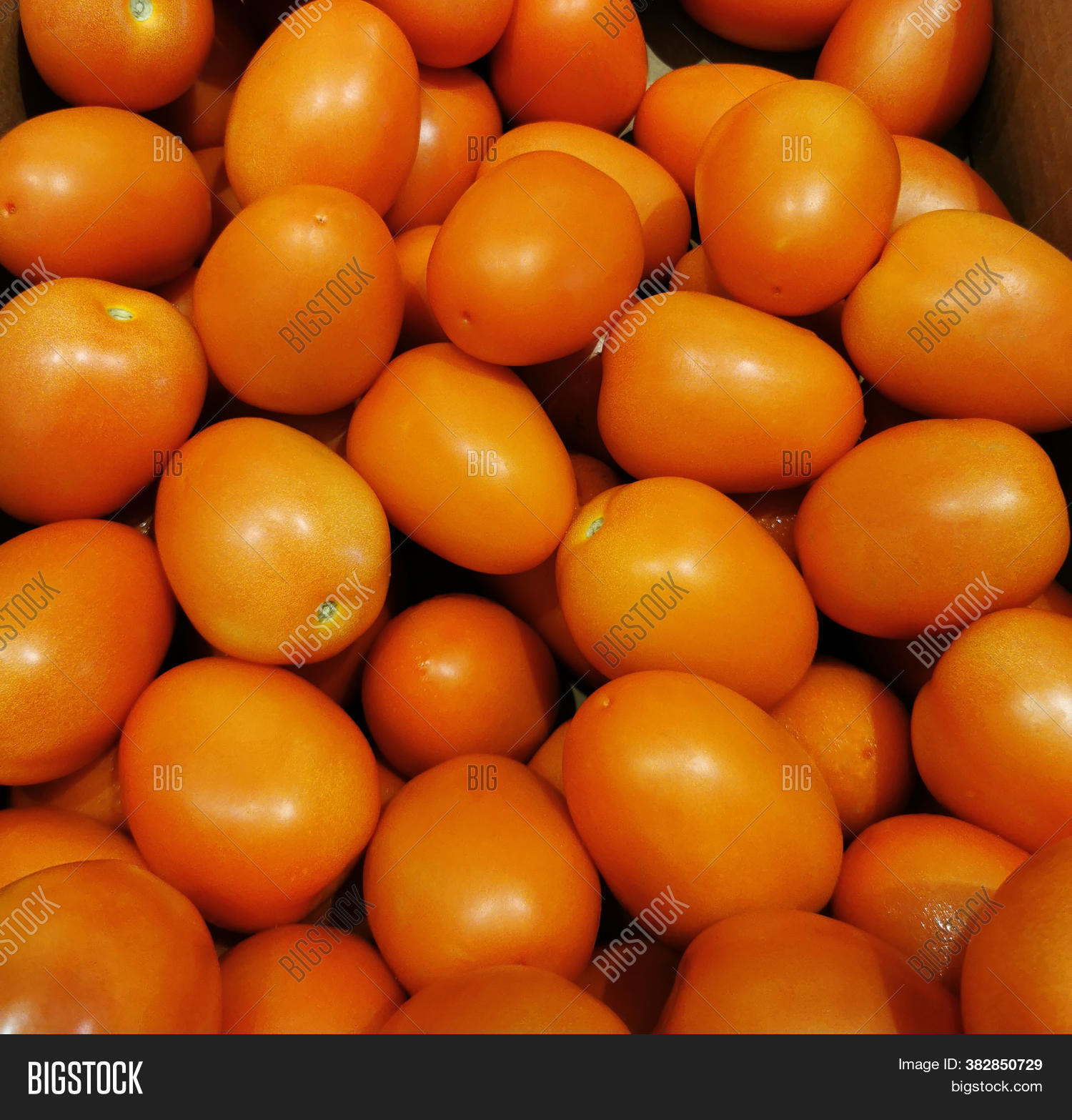 Red Ripe Tomatoes On Image & Photo (Free Trial) | Bigstock