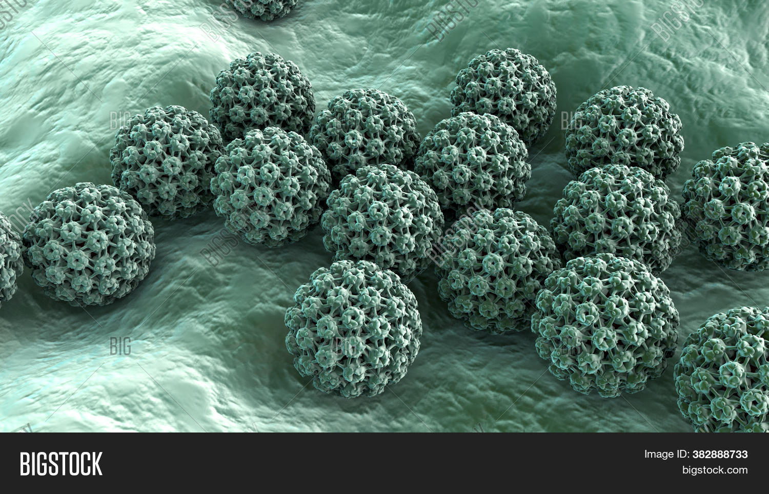 Human Papillomavirus, Image & Photo (Free Trial) | Bigstock
