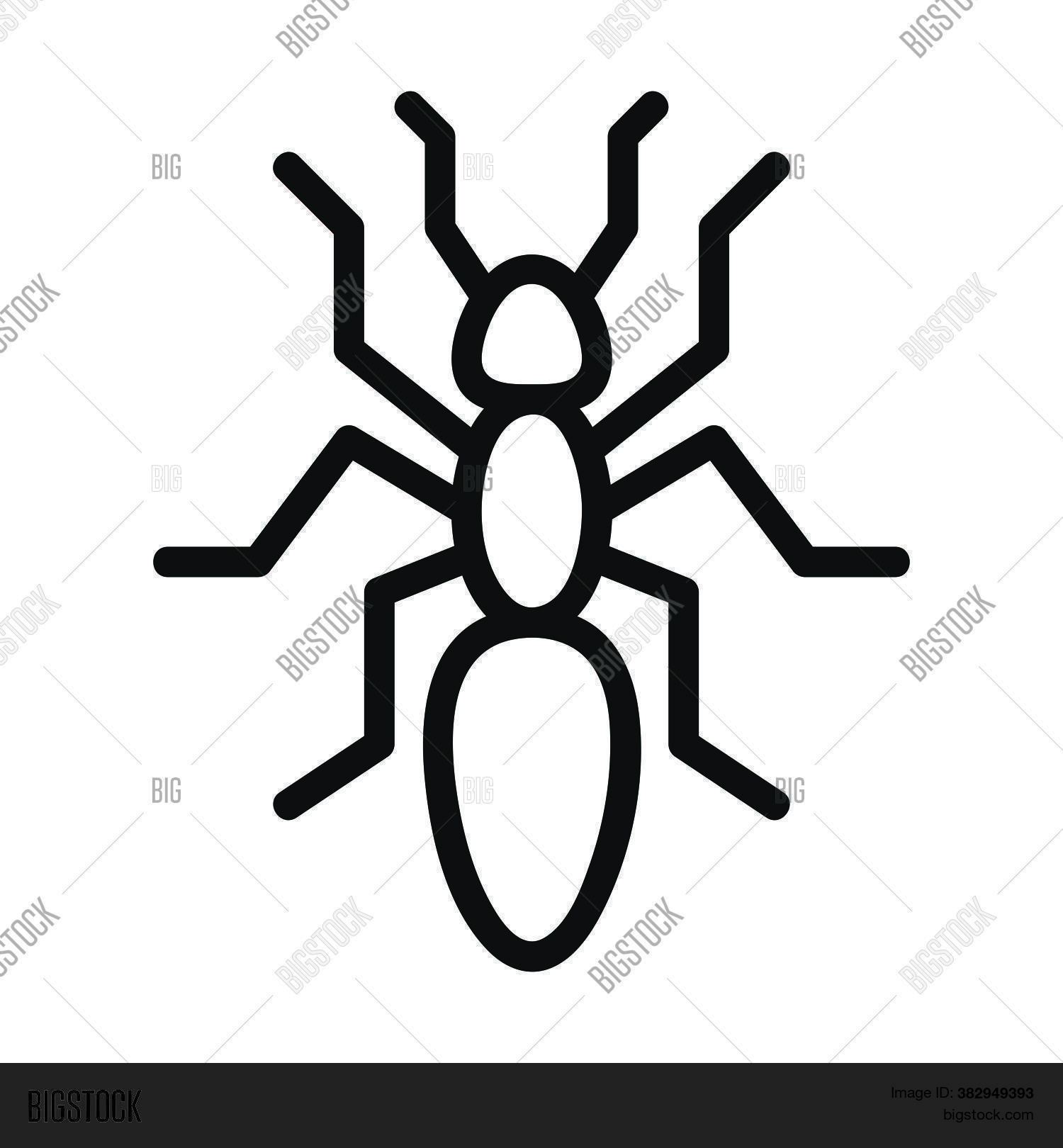 Logo Symbol Ant Icon Vector & Photo (Free Trial) | Bigstock