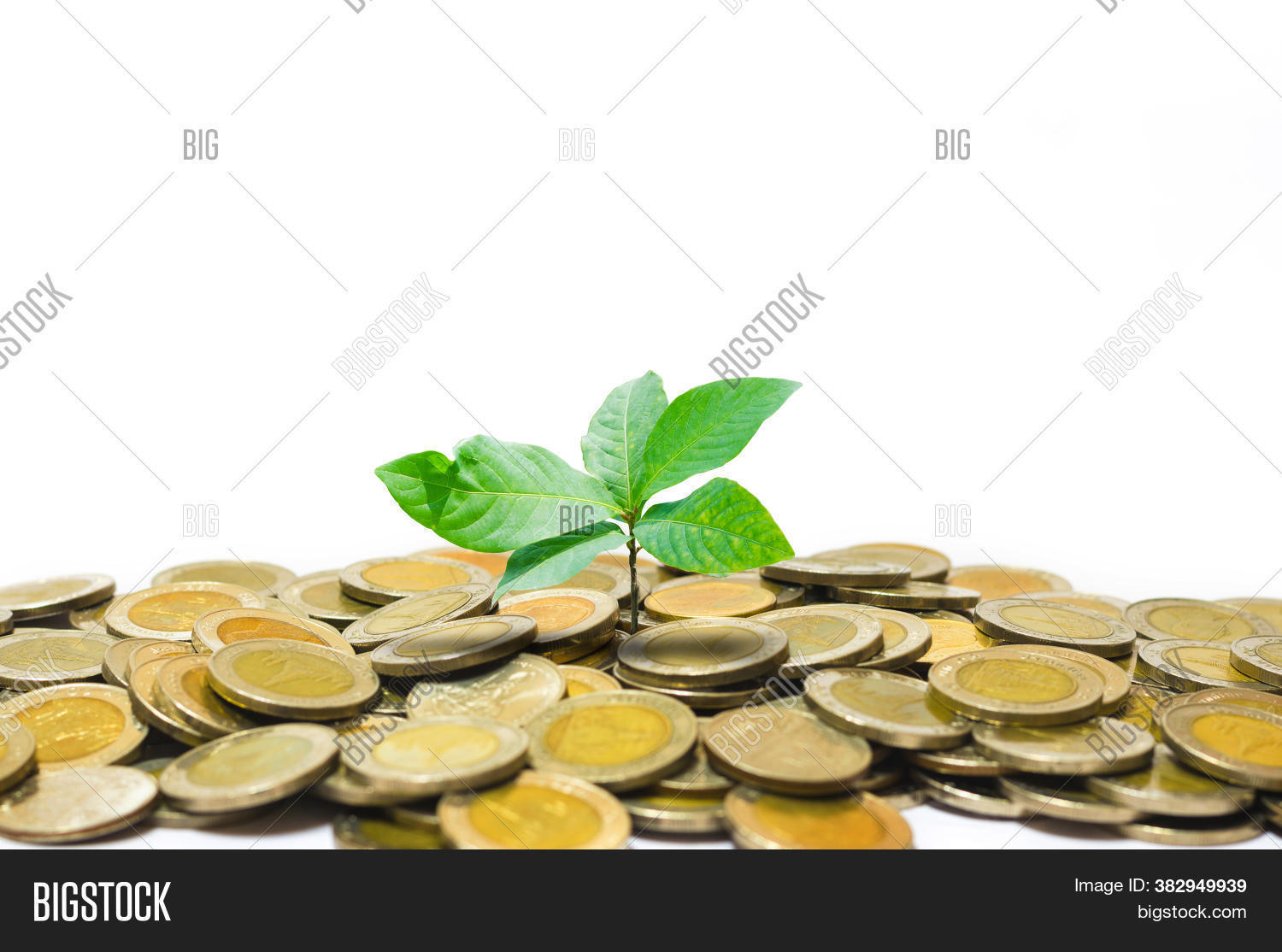 Coin Stack Money Image & Photo (Free Trial) | Bigstock