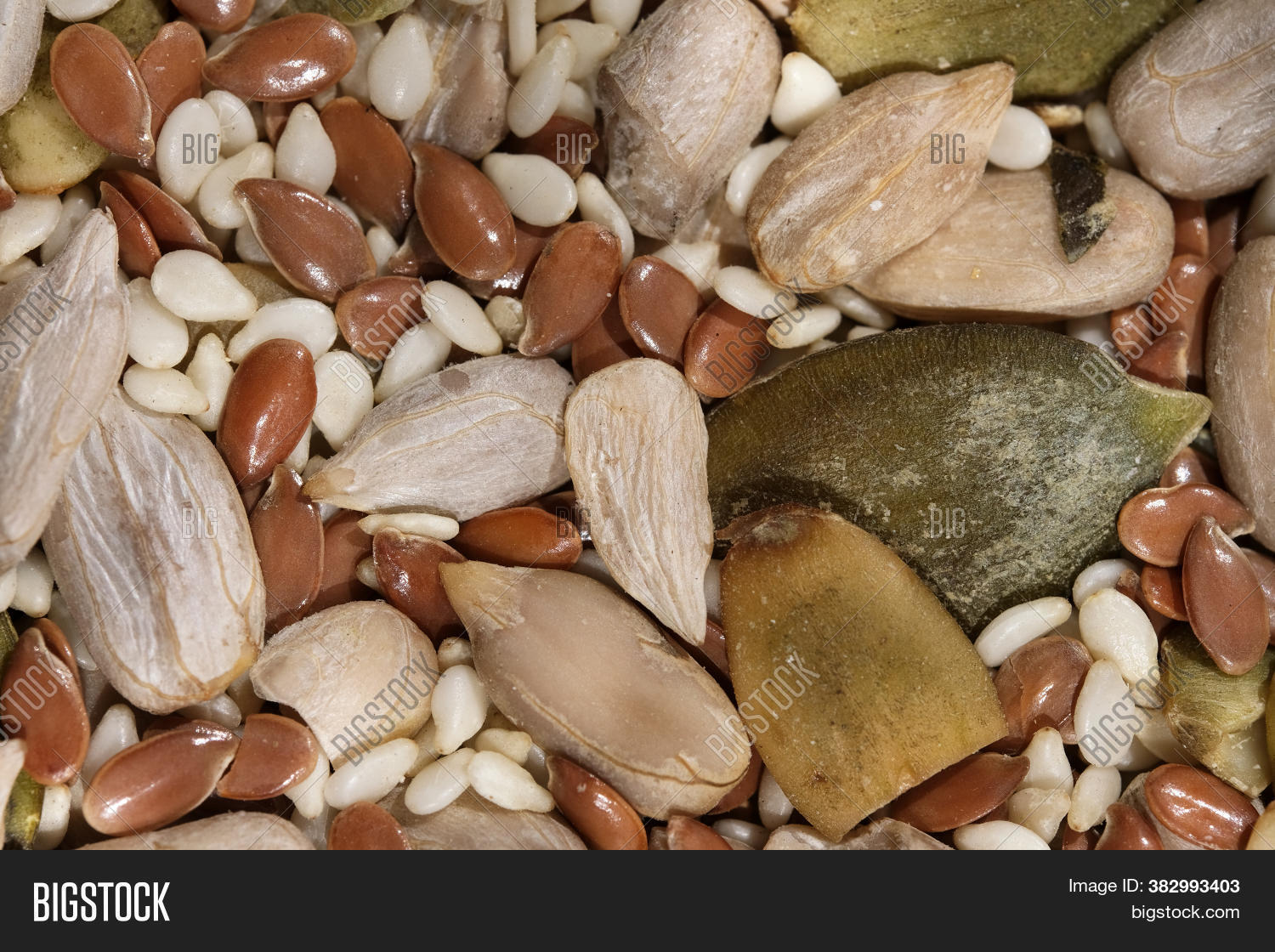 Mix Various Dried Image & Photo (Free Trial) | Bigstock