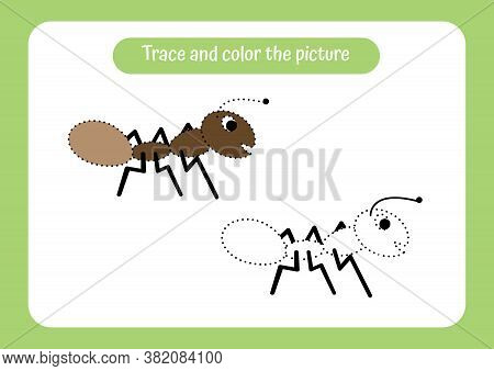 Little Ant. Trace Vector & Photo (Free Trial) | Bigstock