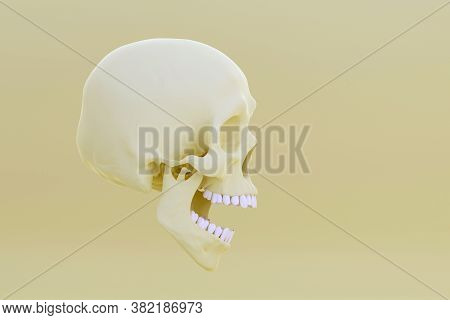 Yellow Skull Open Jaw Image & Photo (Free Trial) | Bigstock