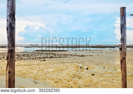 Wet Muddy Coastline Image & Photo (Free Trial) | Bigstock
