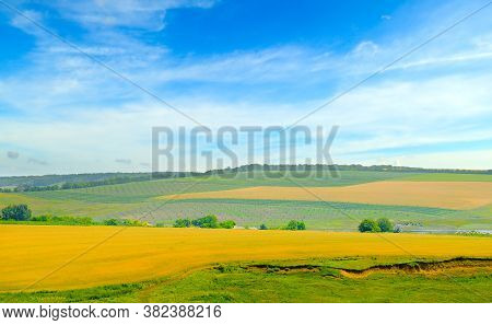 Picturesque Field Blue Image & Photo (Free Trial) | Bigstock