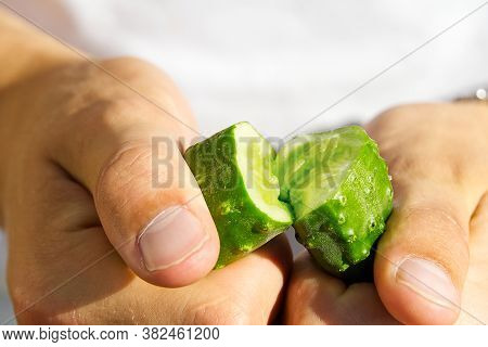 Ripe Cucumber Broken Image & Photo (Free Trial) | Bigstock