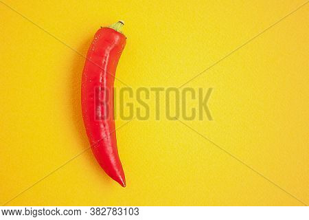 One Red Chili Pepper Image & Photo (Free Trial) | Bigstock