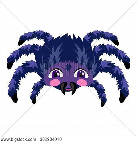 Smiling Spider Icon. Vector & Photo (Free Trial) | Bigstock