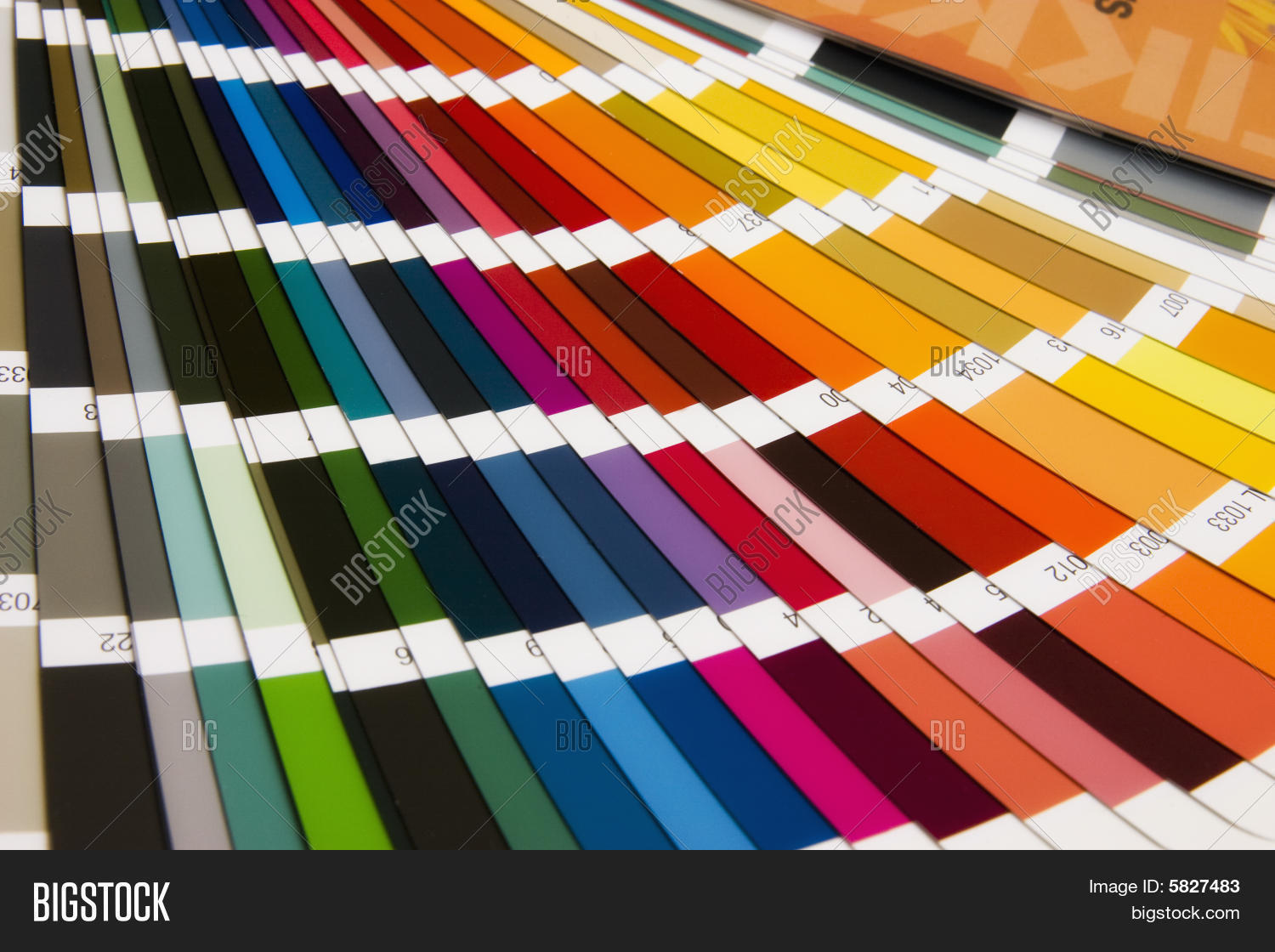 Ral Image & Photo (Free Trial) | Bigstock