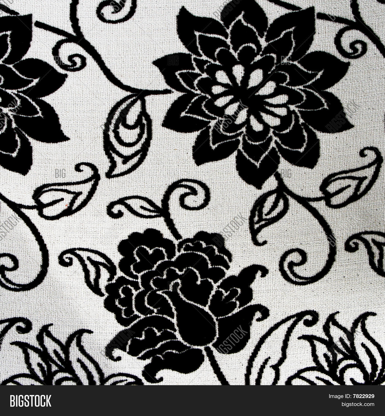 Pattern Ornate Black Image & Photo (Free Trial) | Bigstock