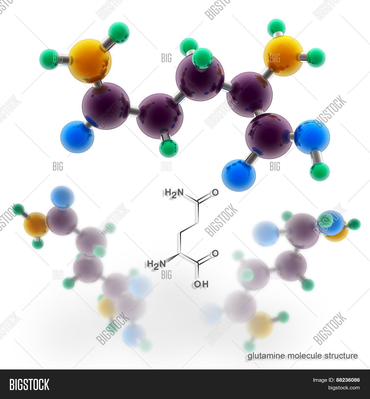 Glutamine Molecule Image & Photo (Free Trial) | Bigstock