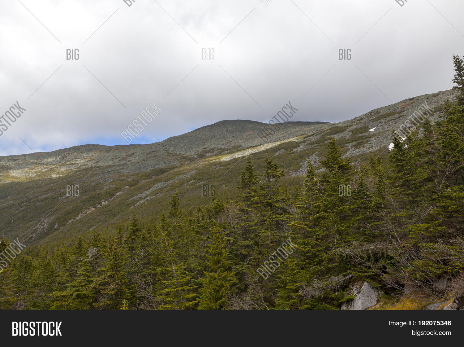 COOS COUNTY NEW Image & Photo (Free Trial) | Bigstock