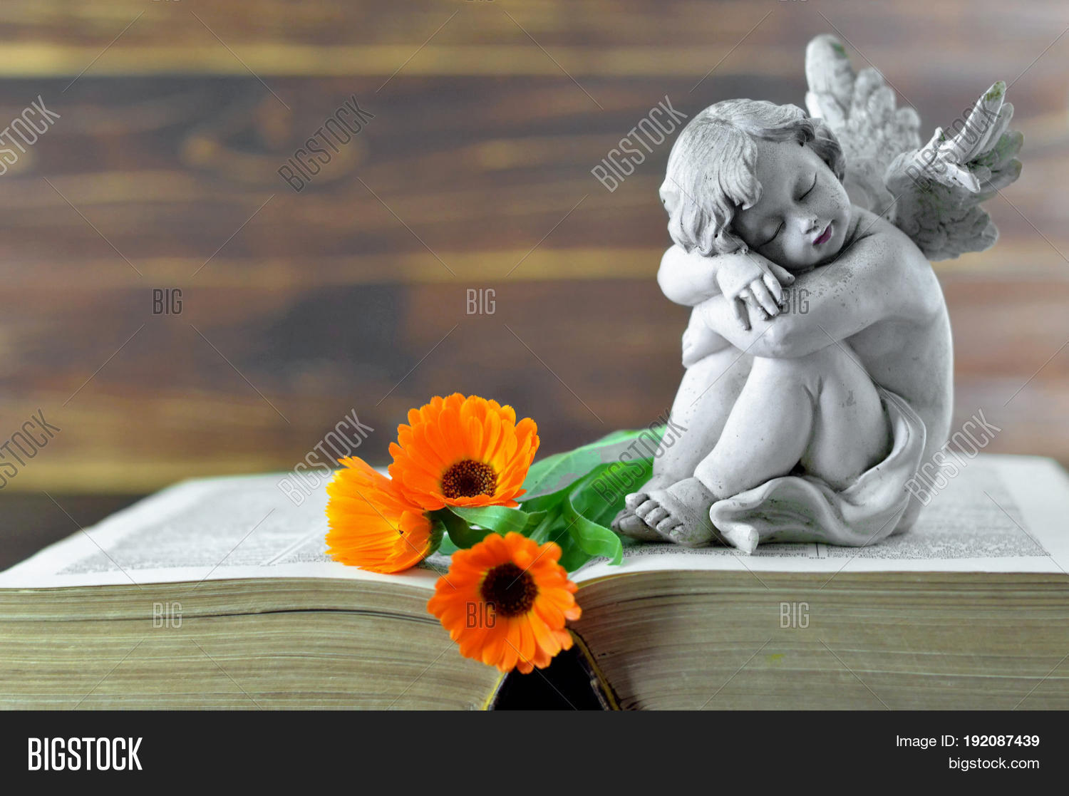 Condolence Card Angel Image & Photo (Free Trial) | Bigstock
