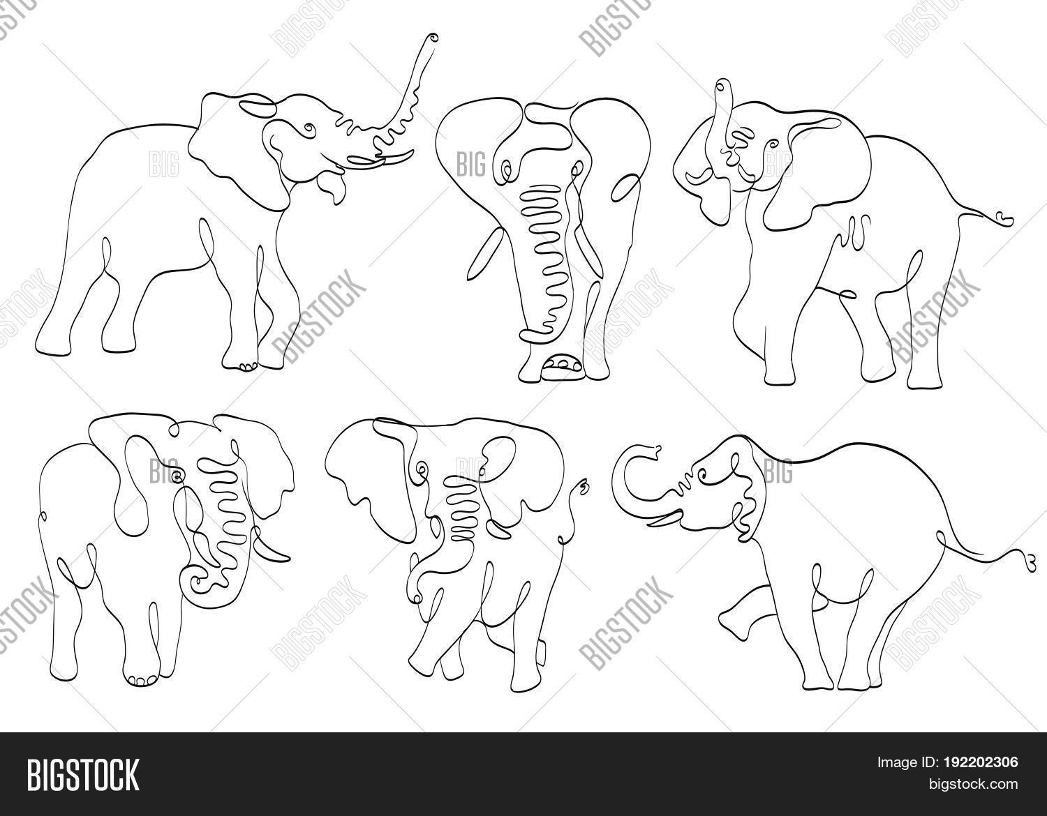 Set Elephants Line Vector & Photo (Free Trial) | Bigstock