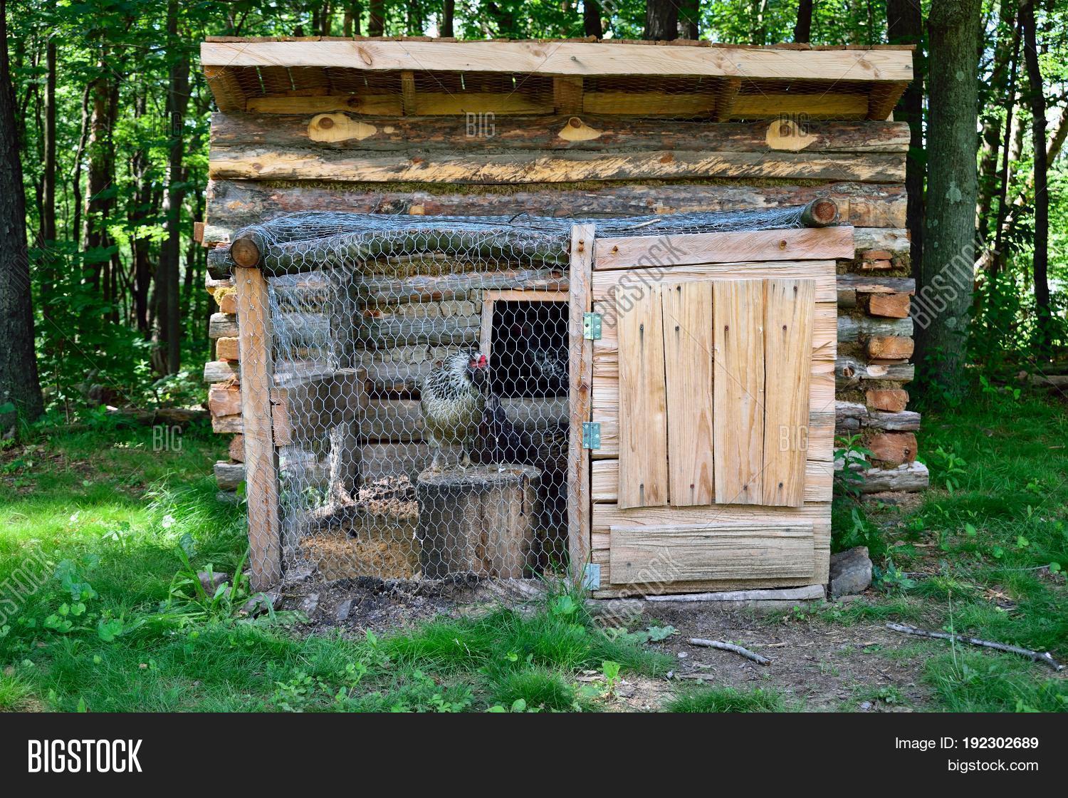Rustic Chicken Coop