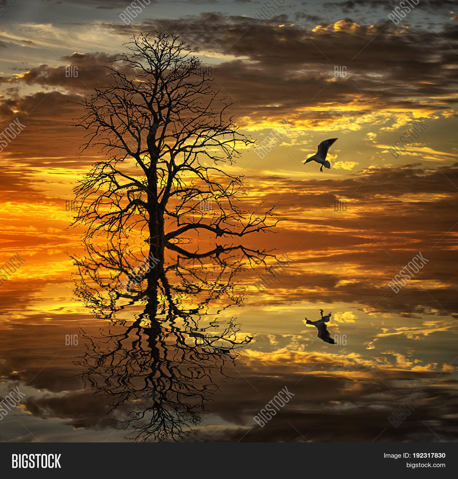 Fascinating Colors Image & Photo (Free Trial) | Bigstock