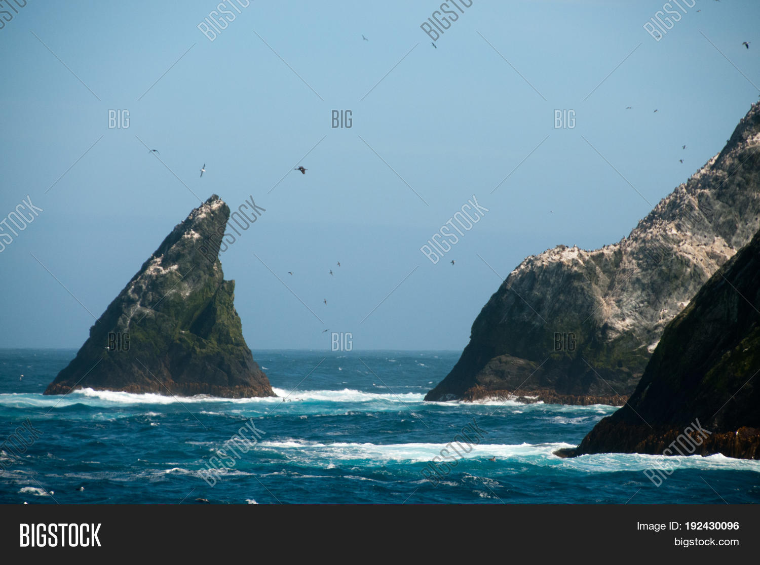 Imagen y foto Shag Rocks Six (prueba gratis) | Bigstock