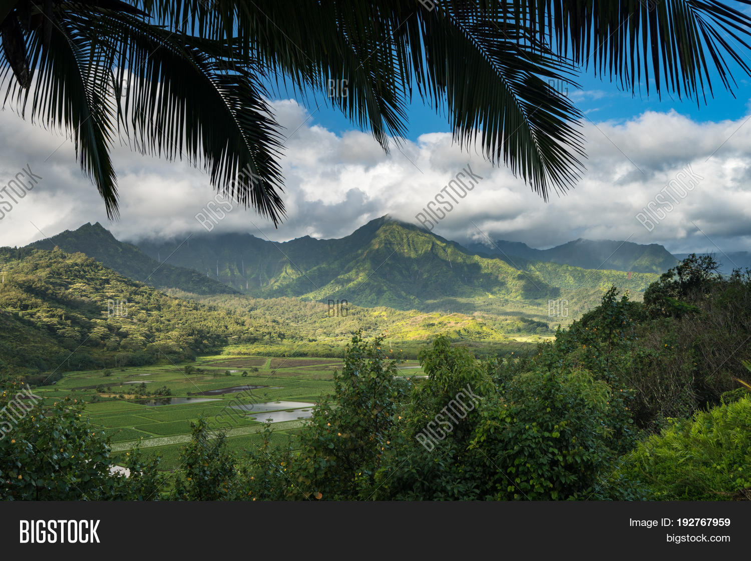 Panoramic View Taro Image & Photo (Free Trial) | Bigstock