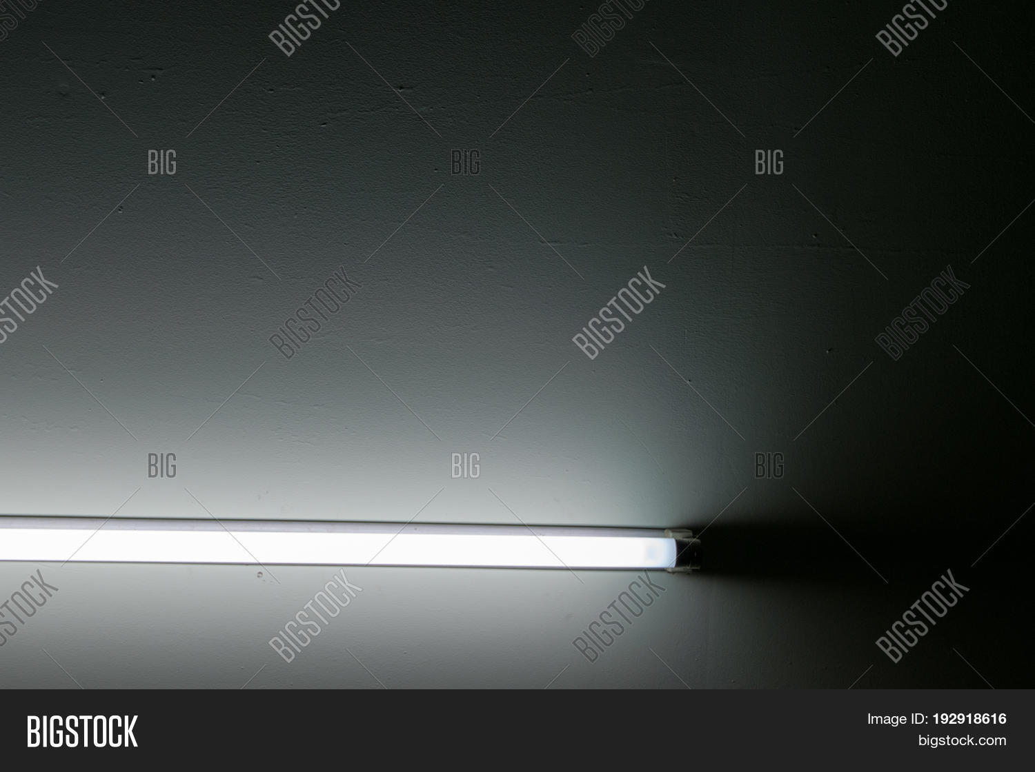 Detail Fluorescent Image & Photo (Free Trial) | Bigstock