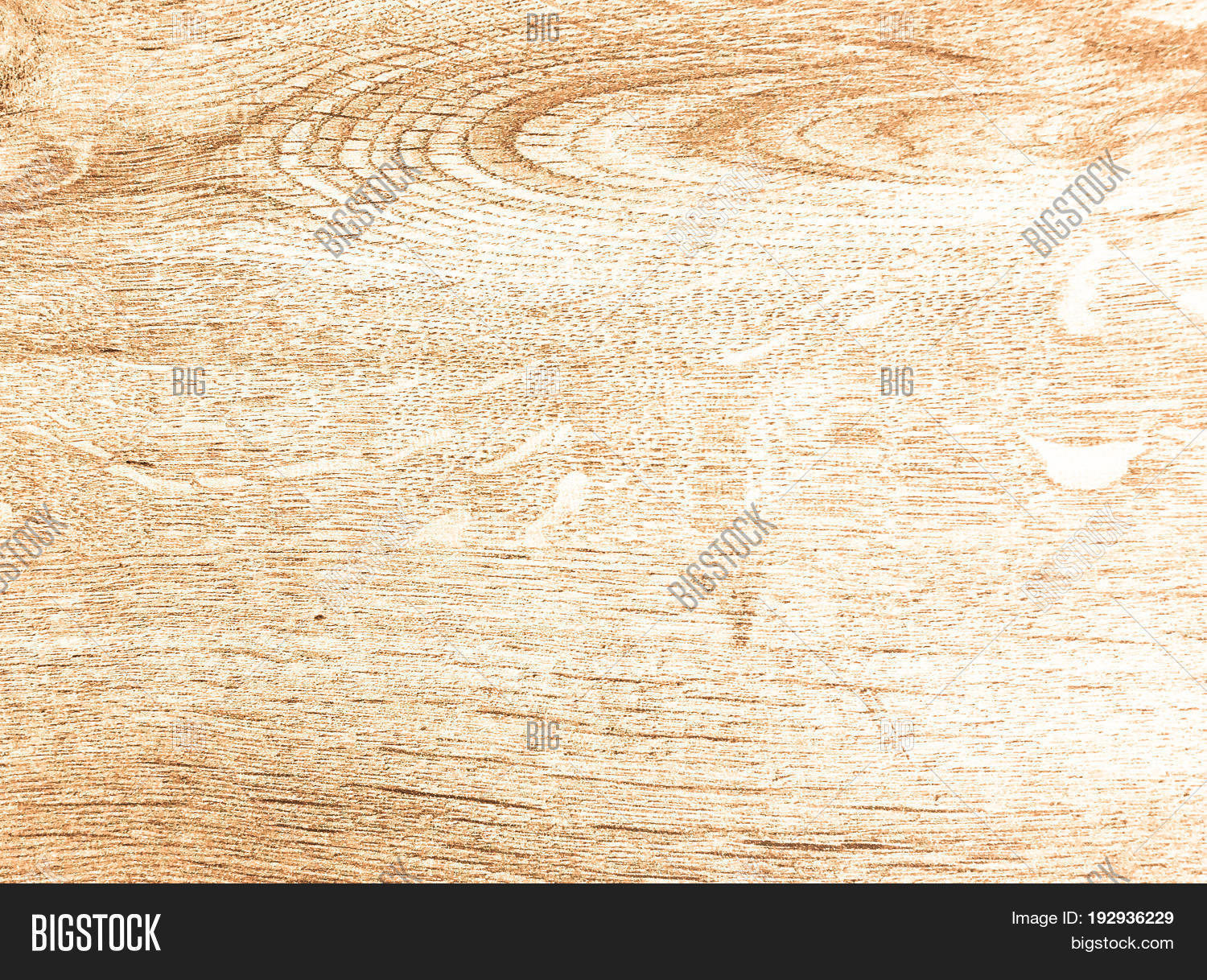 Light Wood Texture Image & Photo (Free Trial) | Bigstock