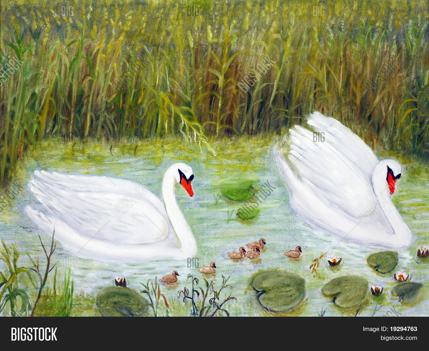 Two Swans Their Little Image & Photo (Free Trial) | Bigstock