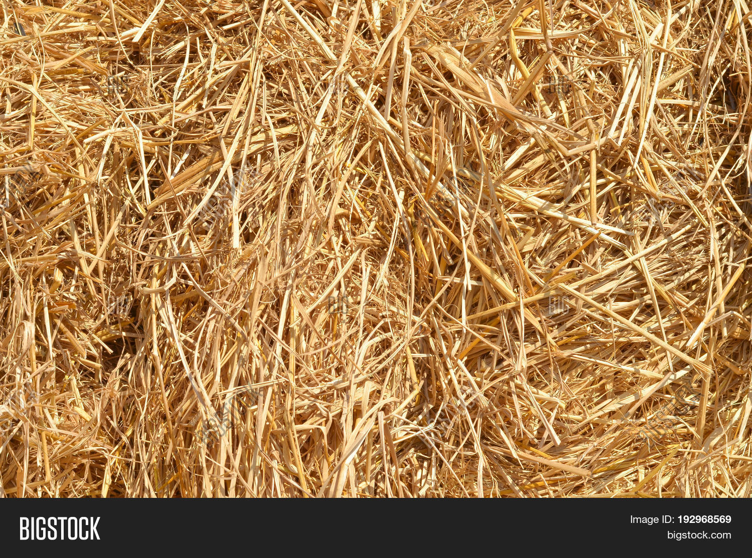 Pile Dry Rice Chaff Image & Photo (Free Trial) | Bigstock