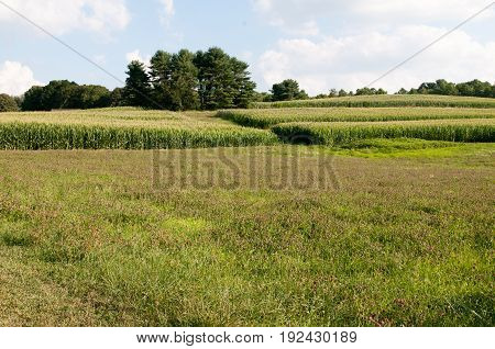 View Green Open Space Image & Photo (Free Trial) | Bigstock