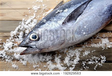 Fresh Bluefin Tuna Image & Photo (Free Trial) | Bigstock