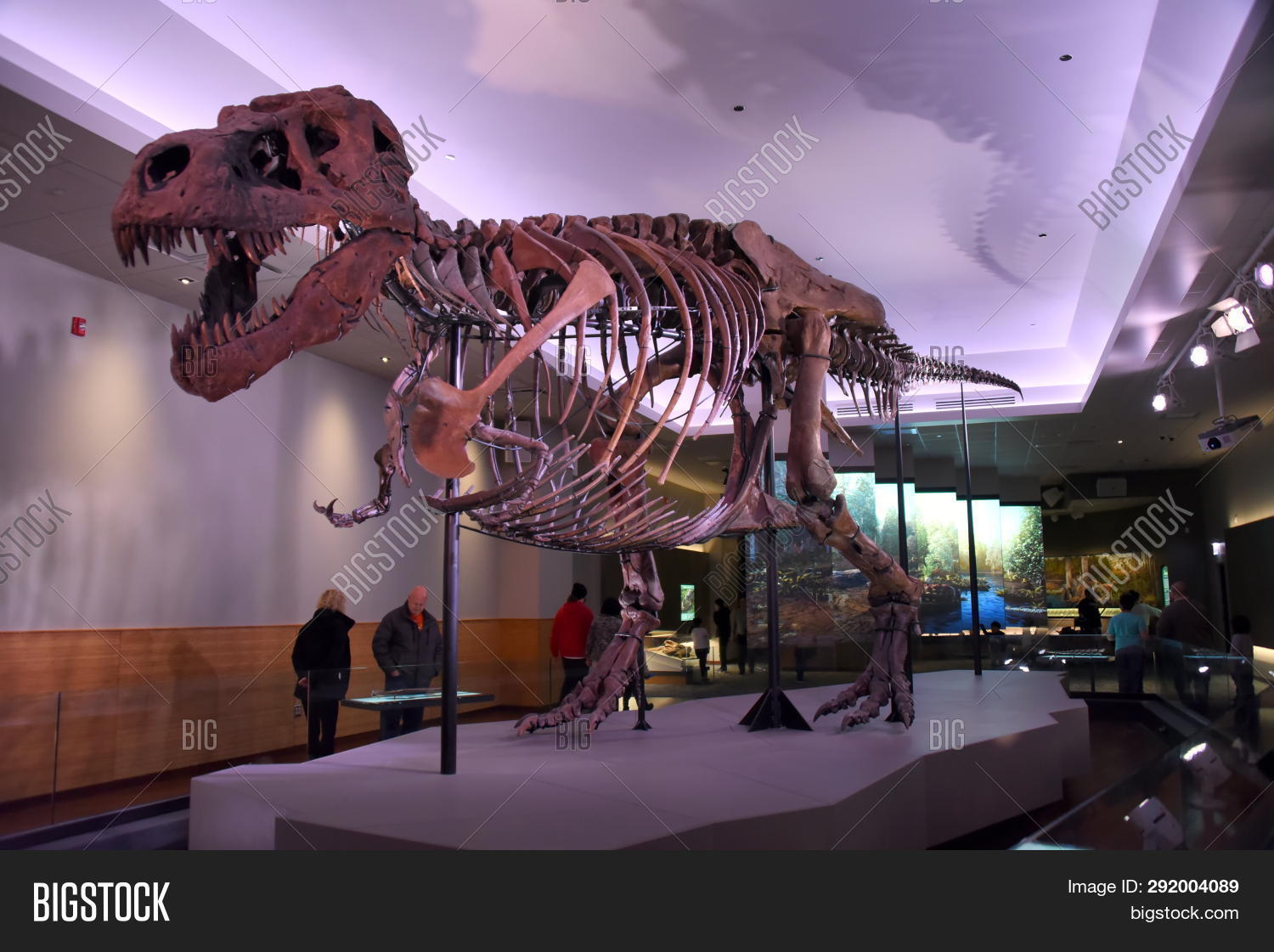 Chicago, Il February Image & Photo (Free Trial) | Bigstock