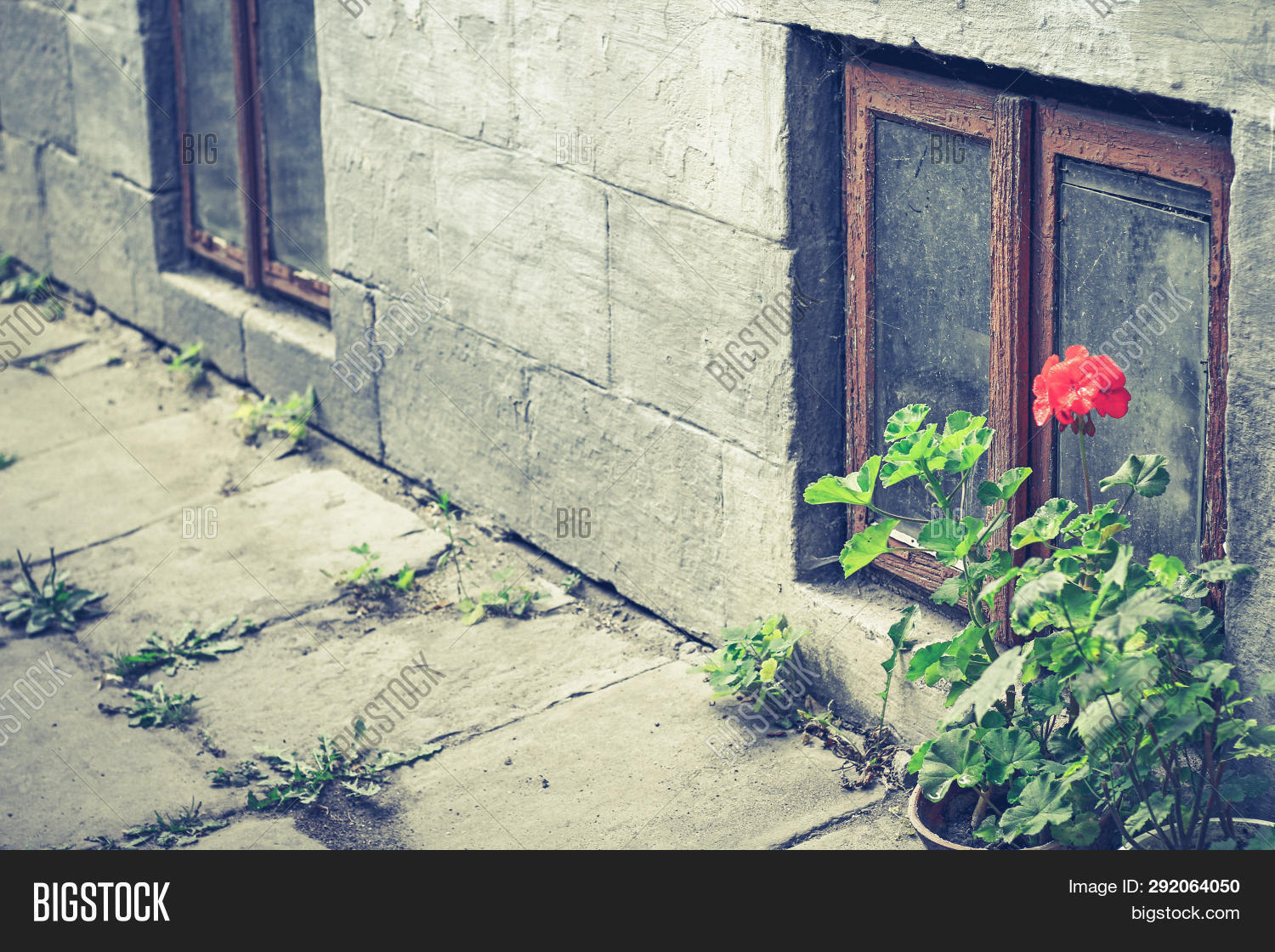 Old Window Flower Pots Image & Photo (Free Trial) | Bigstock