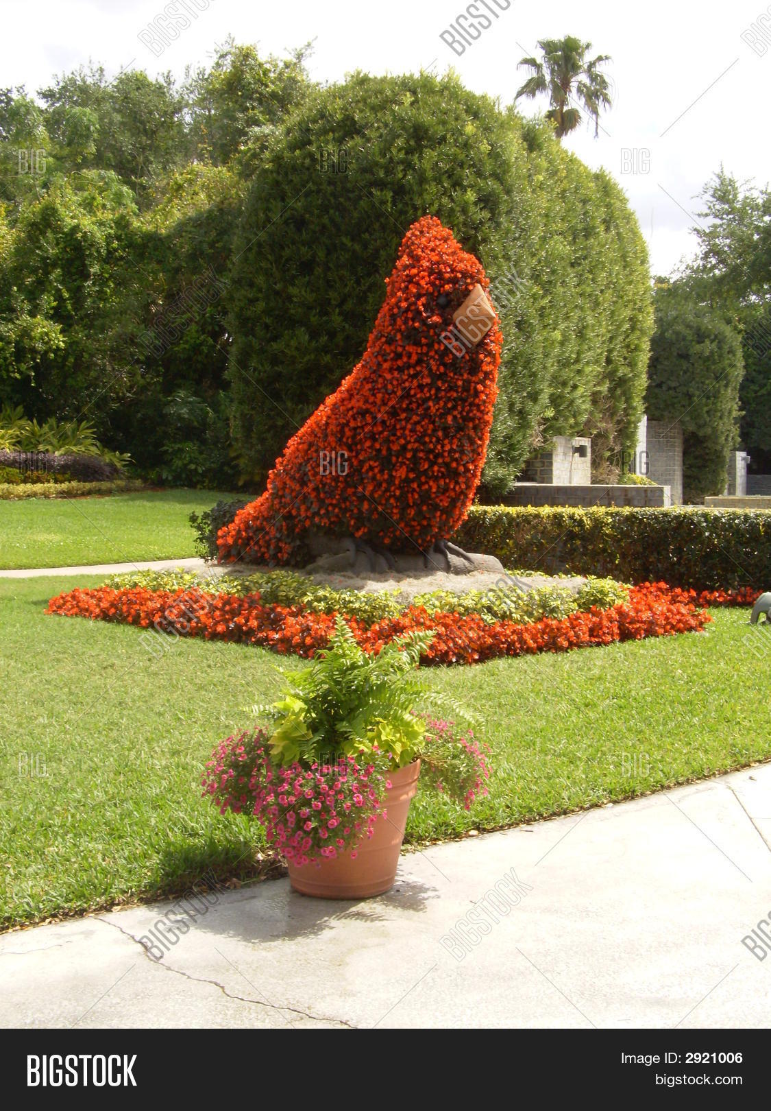 Flowered Cardinal Image & Photo (Free Trial) | Bigstock