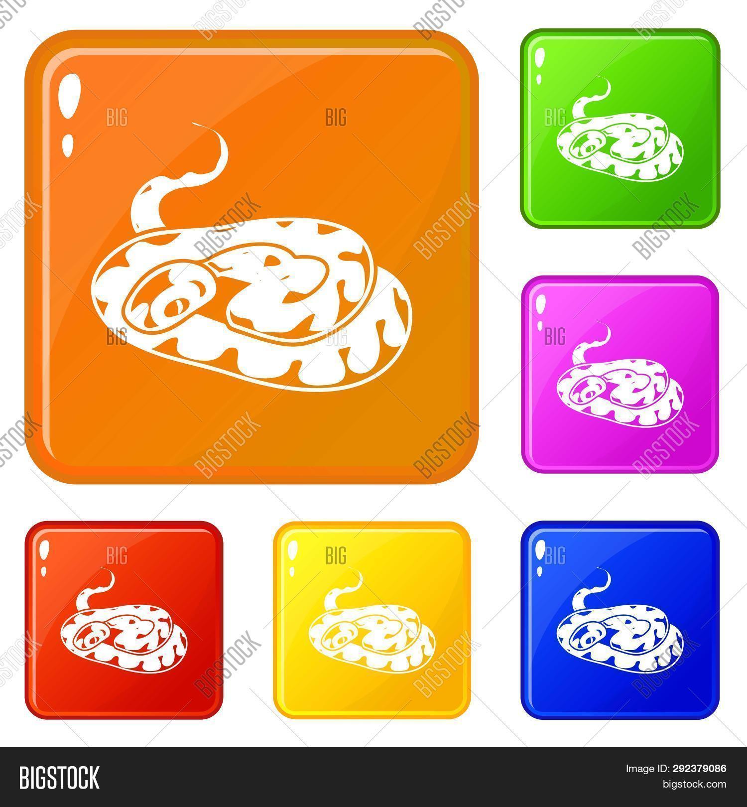 Snake Icons Set Image & Photo (Free Trial) | Bigstock
