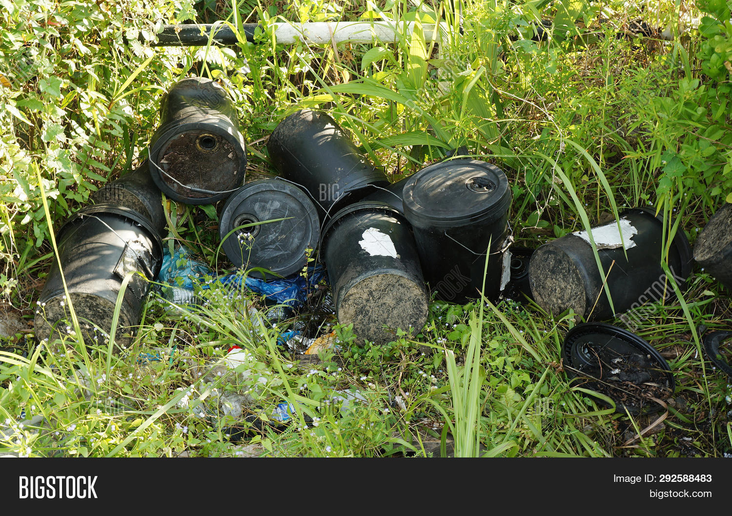 Irresponsible Human Image & Photo (Free Trial) | Bigstock