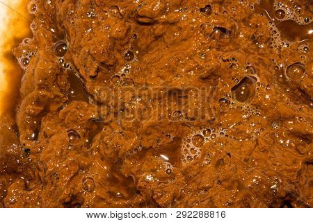 Texture Human Shit. Image & Photo (Free Trial) | Bigstock