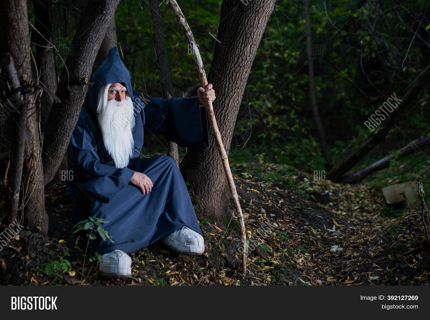Wizard Long Gray Beard Image & Photo (Free Trial) | Bigstock
