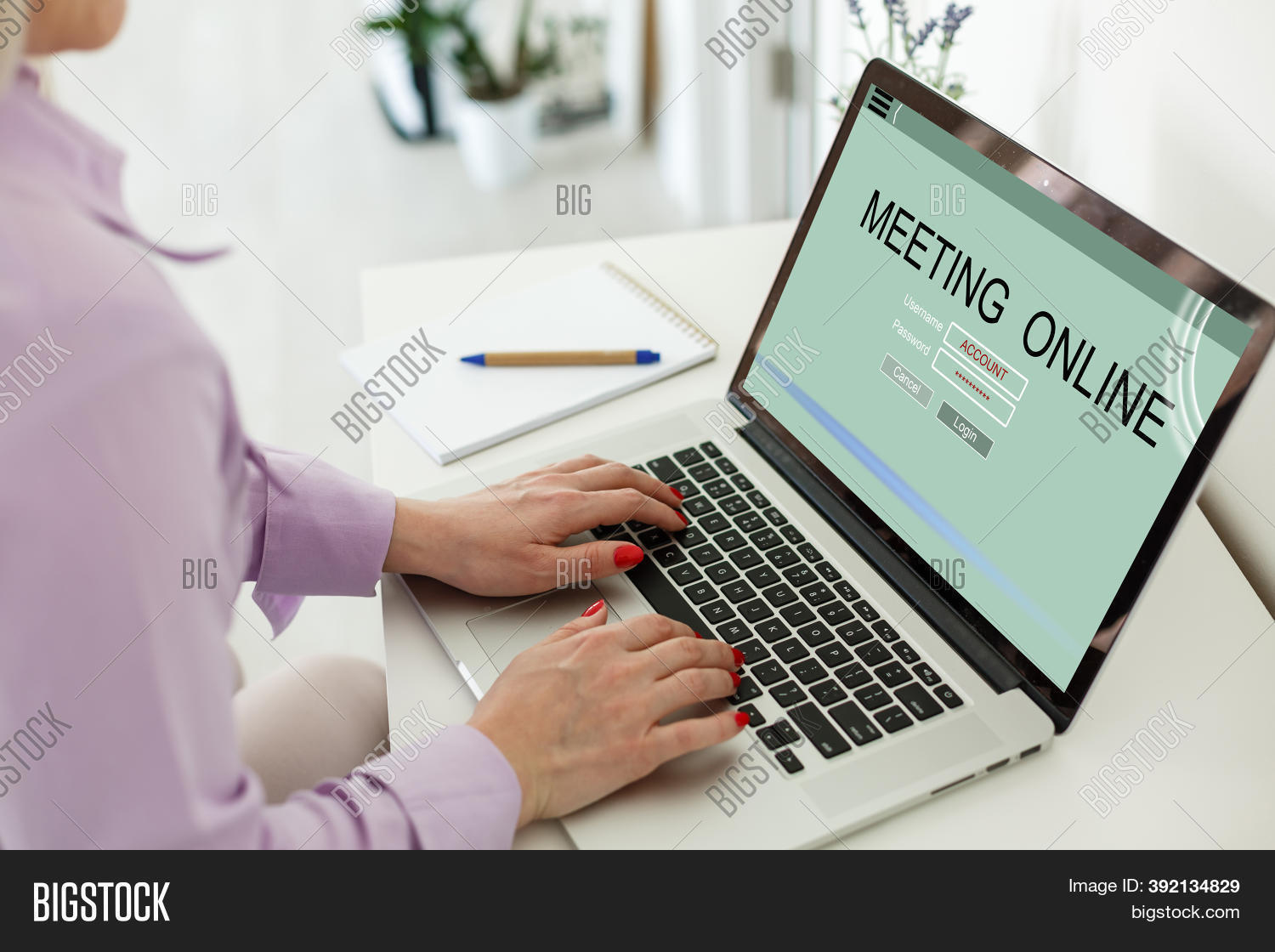 Online Meeting On Image & Photo (Free Trial) | Bigstock