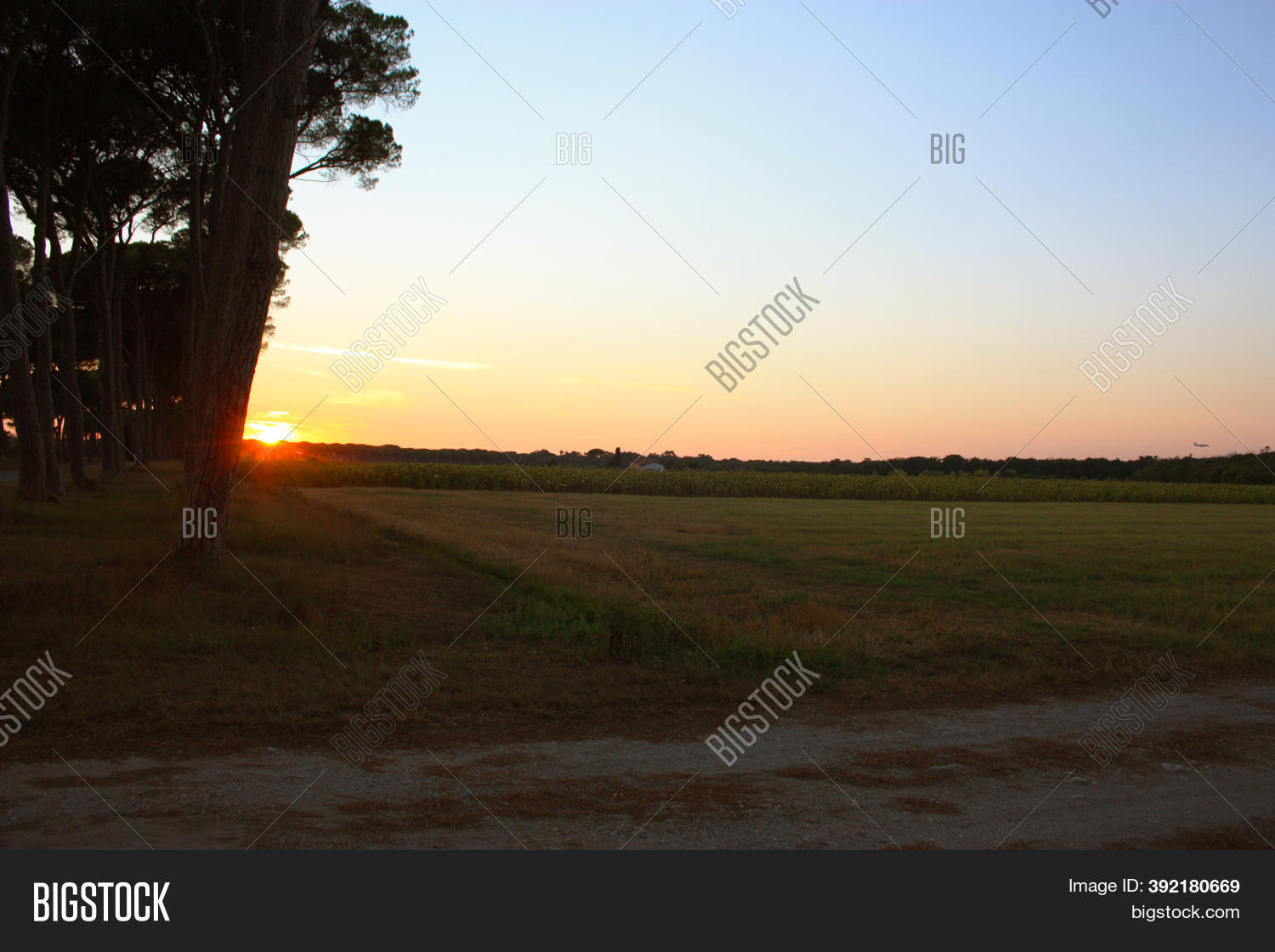 Expanse Open Field Image & Photo (Free Trial) | Bigstock