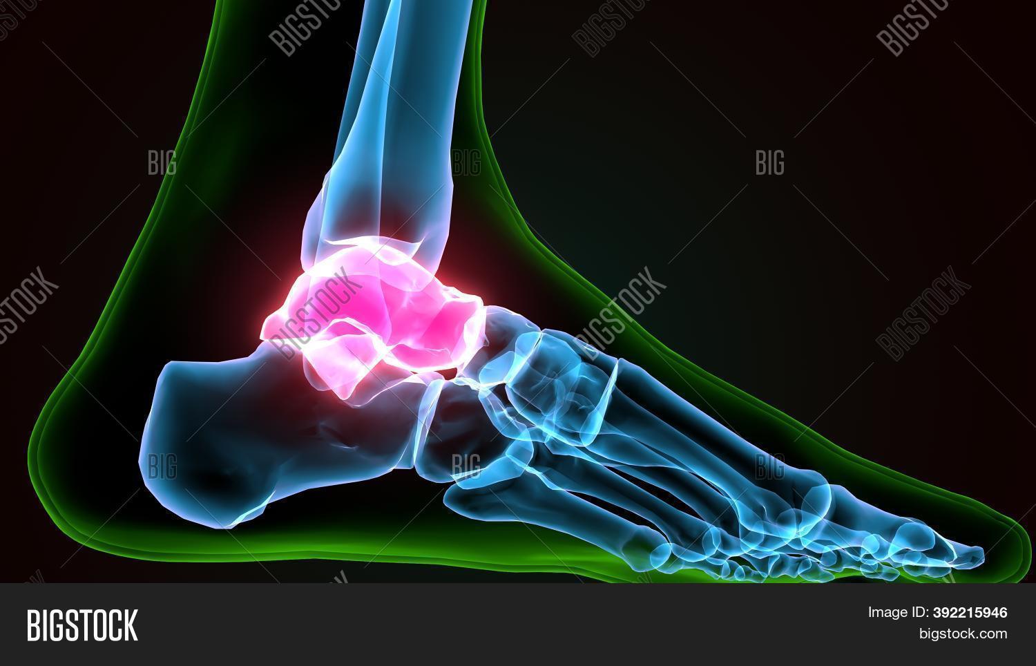 3d Illustration Human Image & Photo (Free Trial) | Bigstock