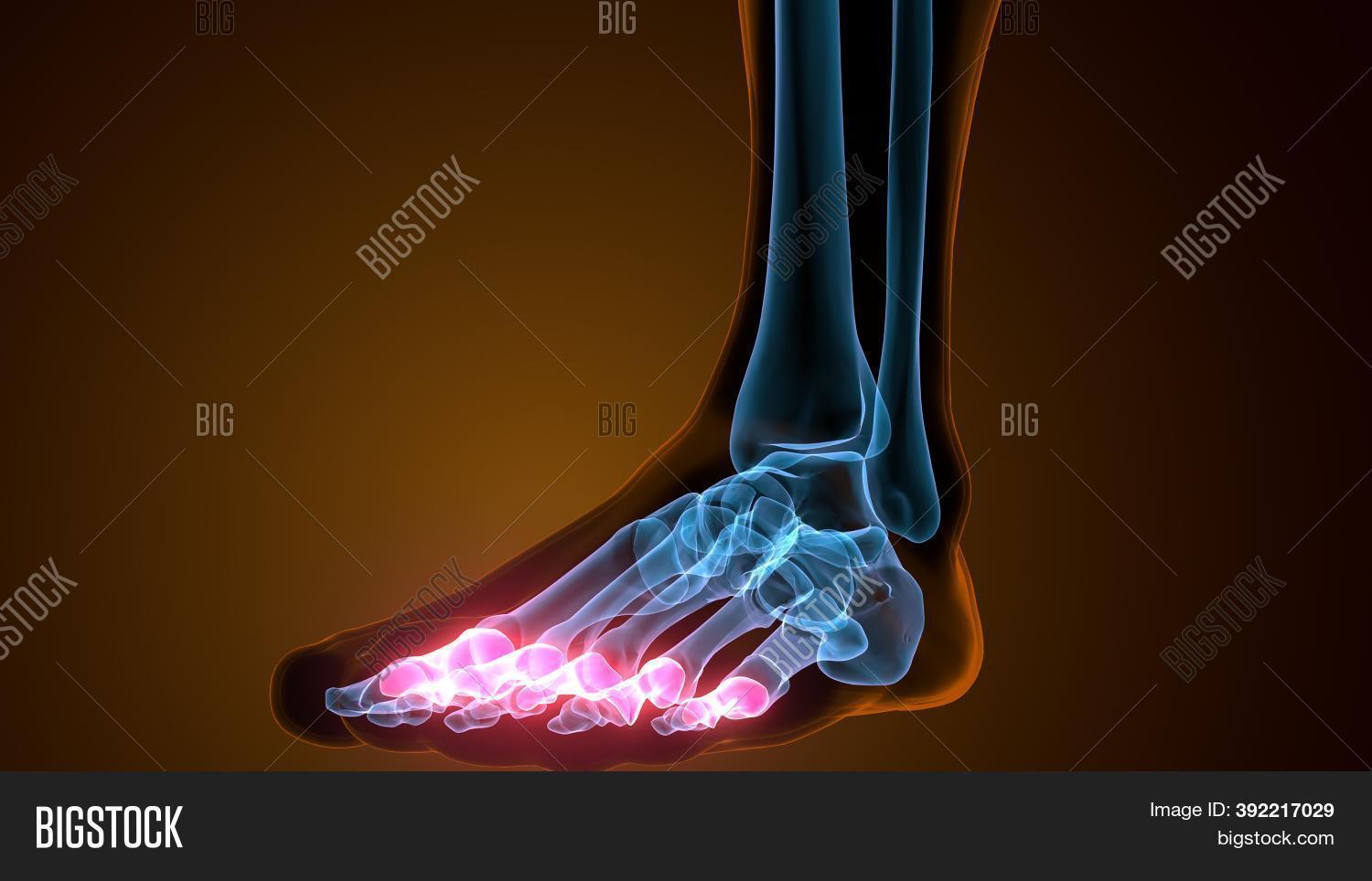 3d Illustration Human Image & Photo (Free Trial) | Bigstock