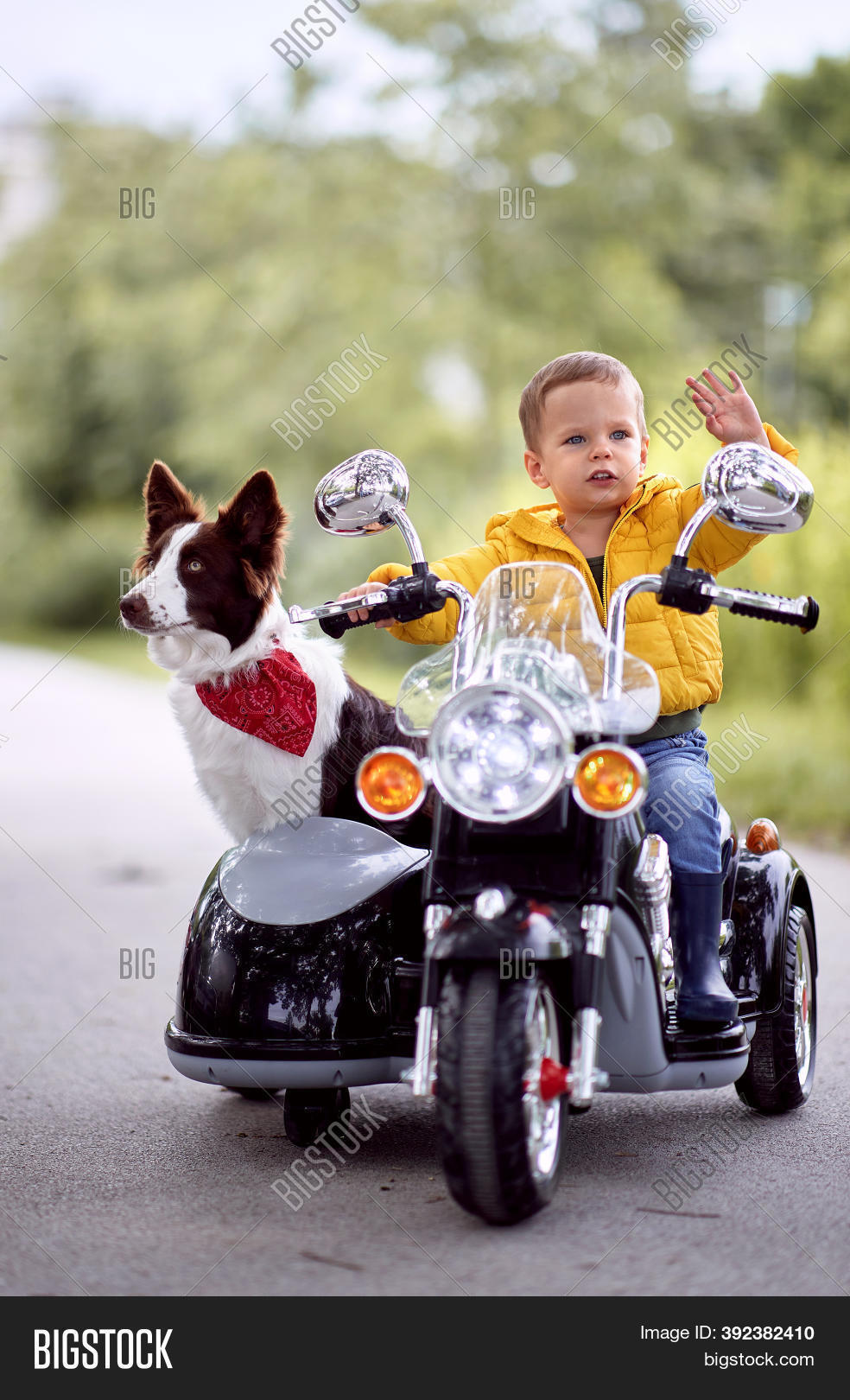 Happy Little Boy Image & Photo (Free Trial) | Bigstock