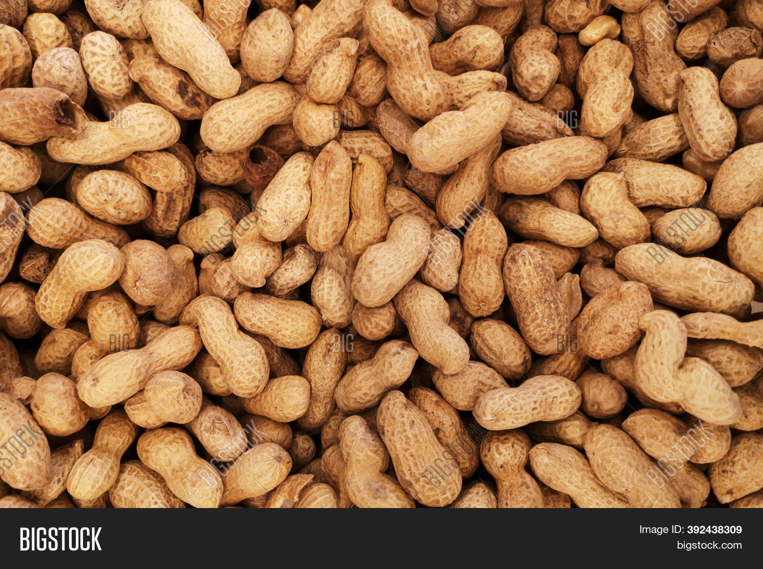 Peanuts Shell Texture Image & Photo (Free Trial) | Bigstock