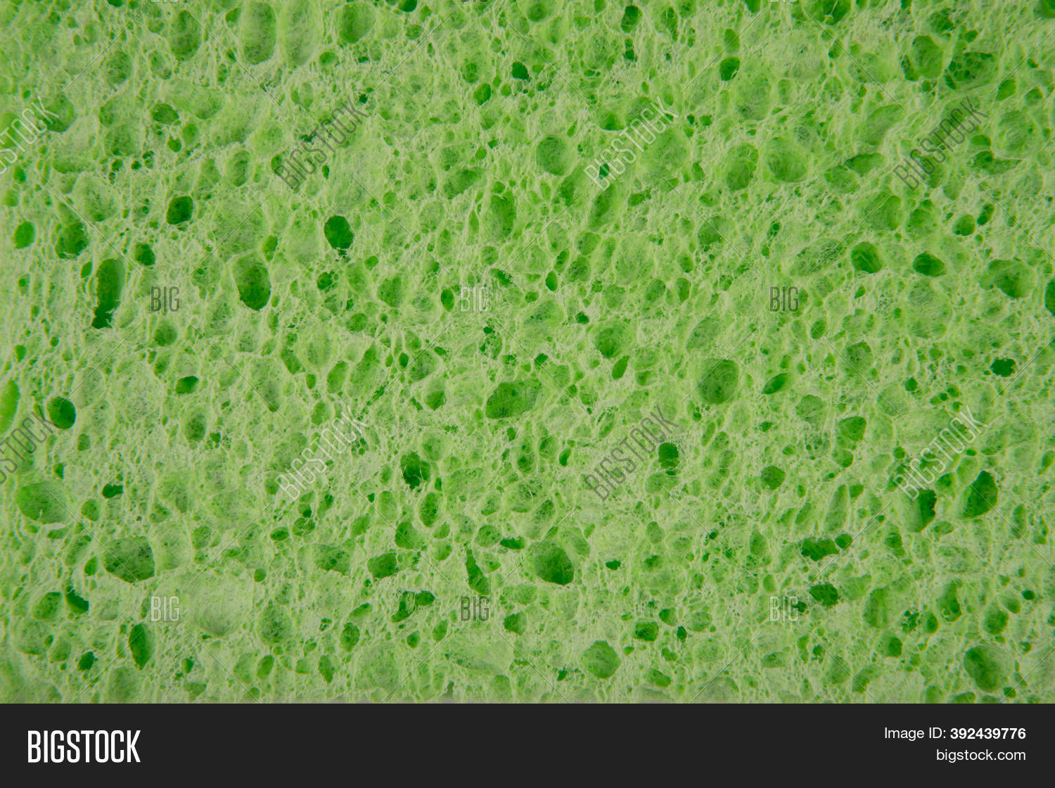 Sponge Texture - Top Image & Photo (Free Trial) | Bigstock