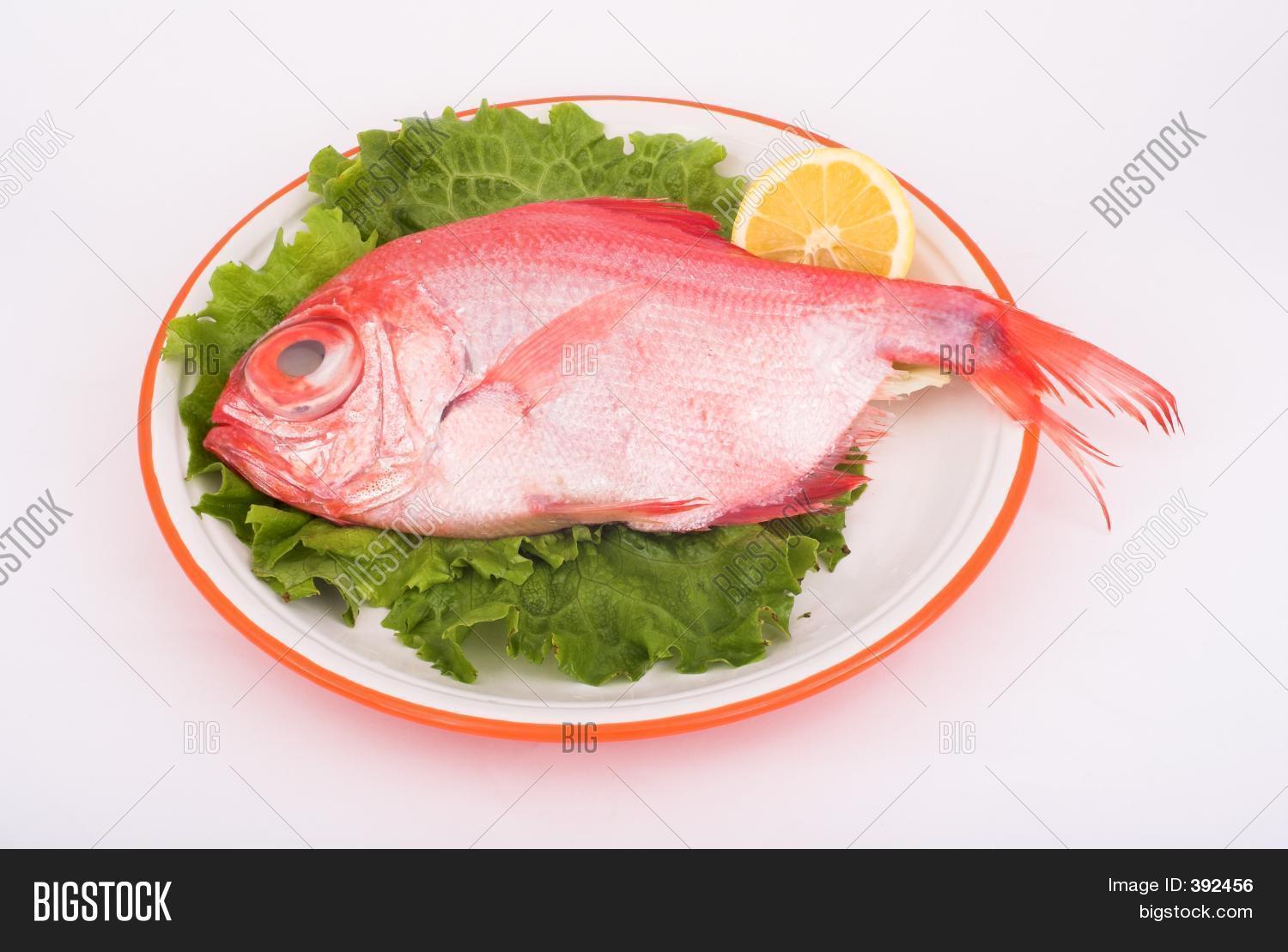 Red Bream ( Fish ) Image & Photo (Free Trial) | Bigstock