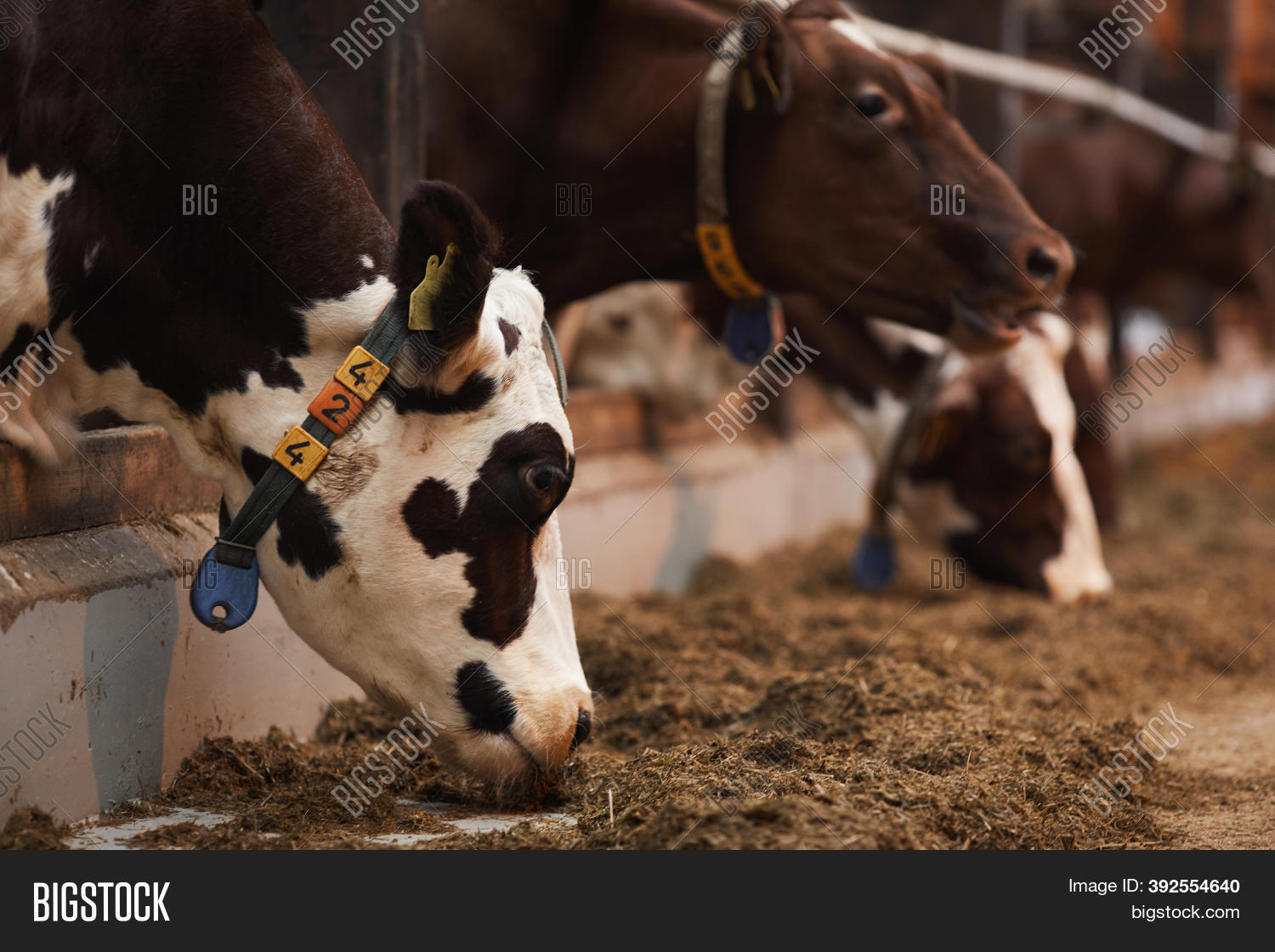 Side View Close Image & Photo (Free Trial) | Bigstock