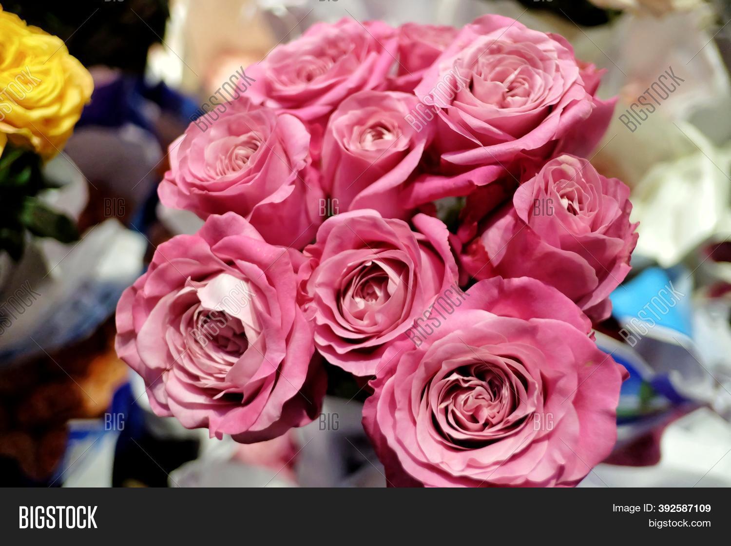 Bunch Sweet Red Rose Image & Photo (Free Trial) | Bigstock