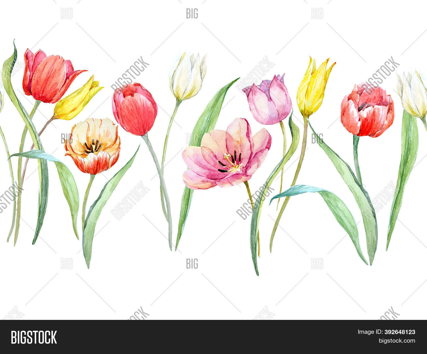 Beautiful Horizontal Image & Photo (Free Trial) | Bigstock